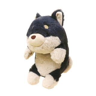 Funbaruz Posture Pal – bungu