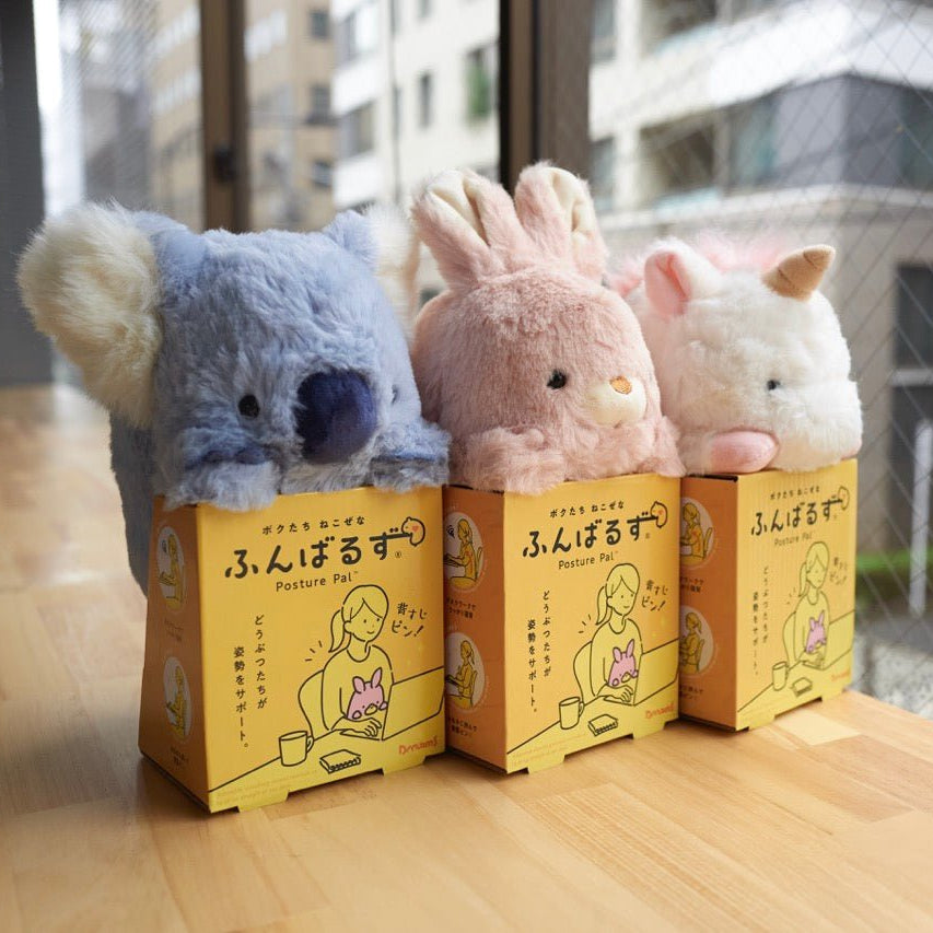 Funbaruz Posture Pal / Dreams – bungu