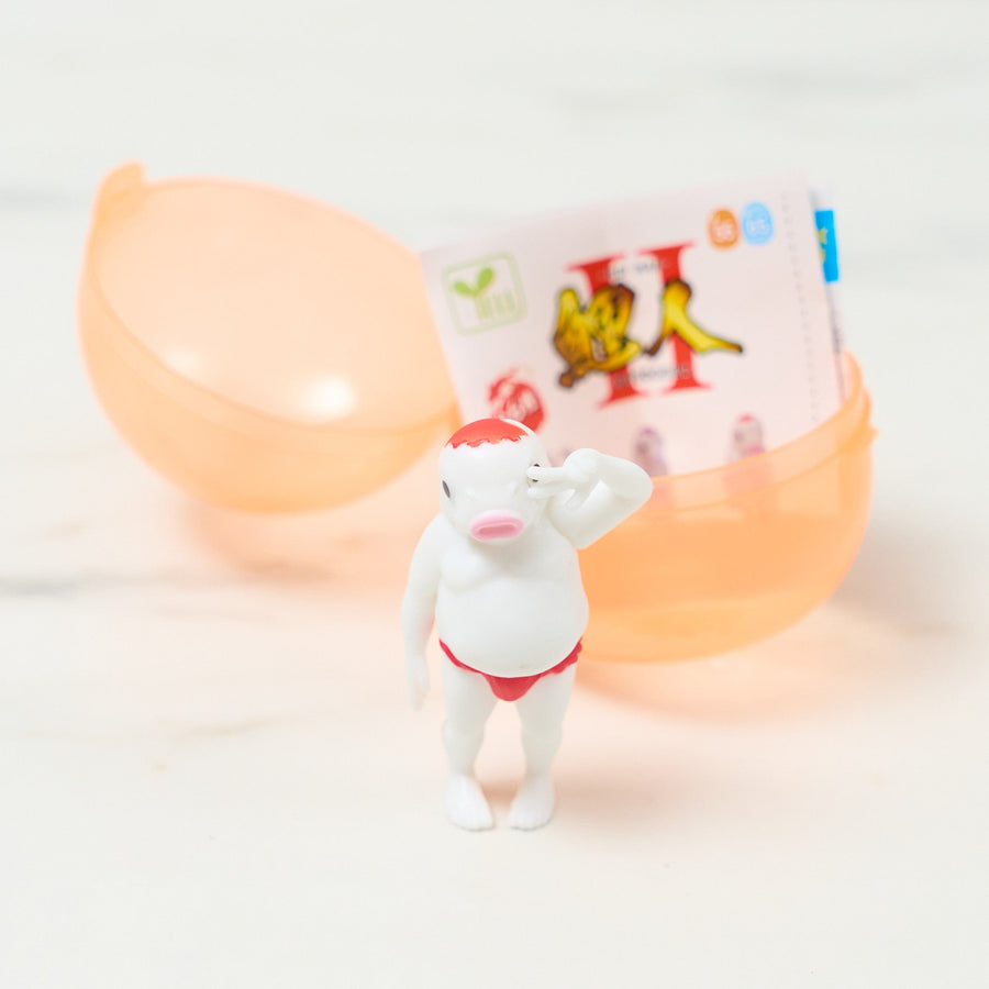 Gacha Toy Capsules – bungu