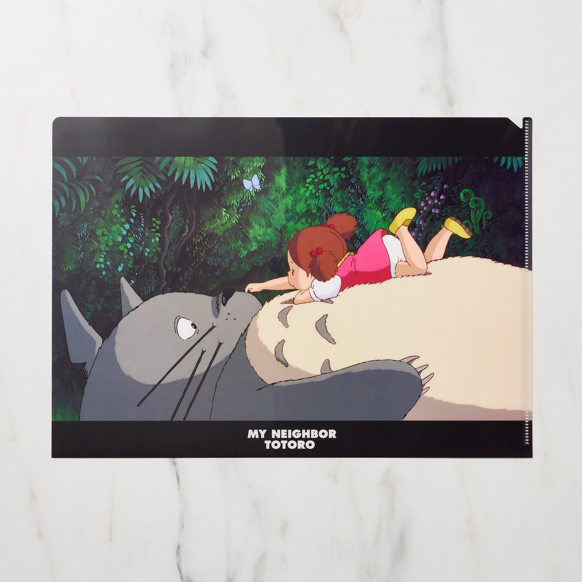 Studio Ghibli "My Neighbor Totoro" Scenes A4 Clear File Folder / Movic ...