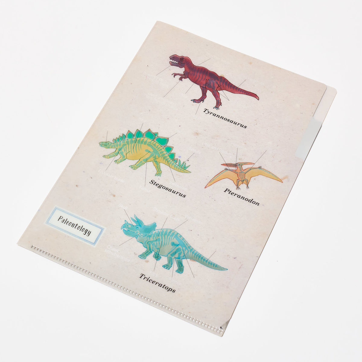 STUDY HOLIC A5 Pocket Clear File Folder / GreenFlash – bungu